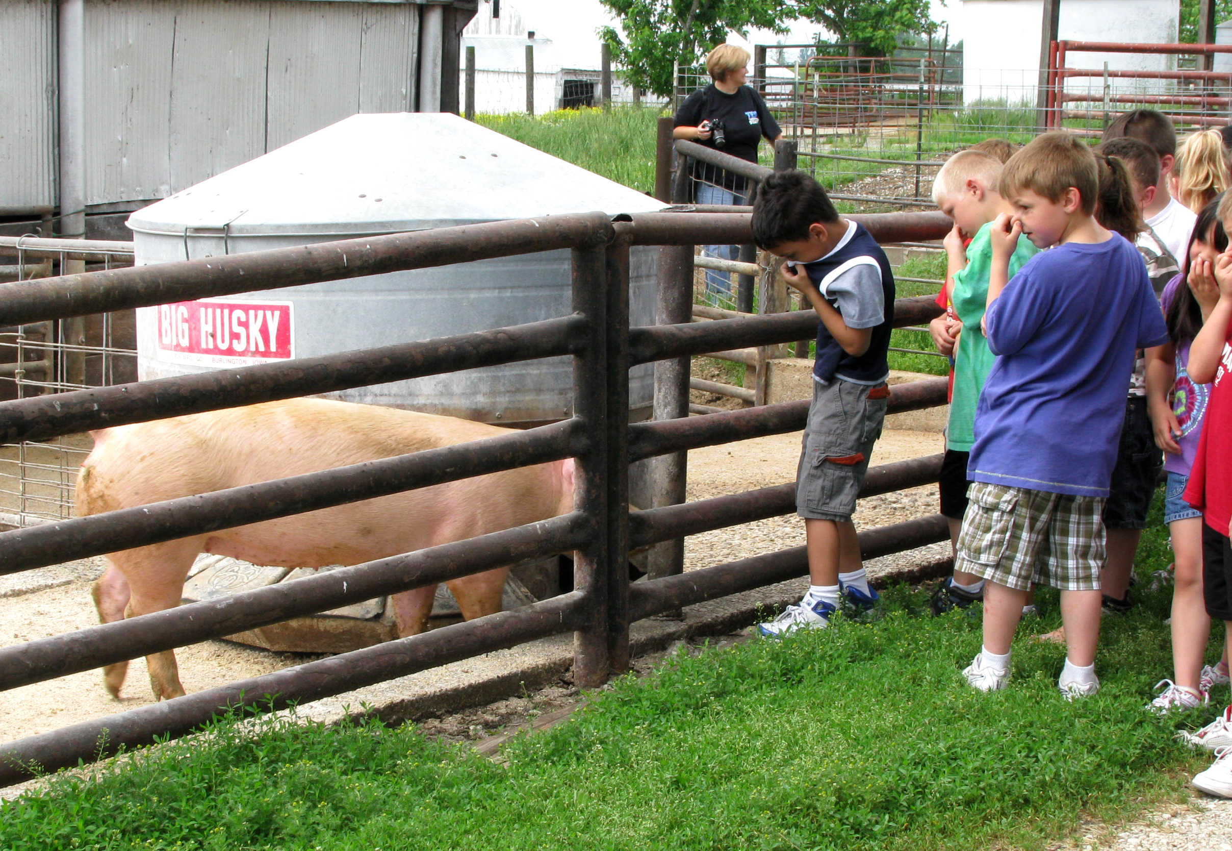 Smelly pig – Ursuline Sisters of Mount Saint Joseph – Maple Mount, Kentucky